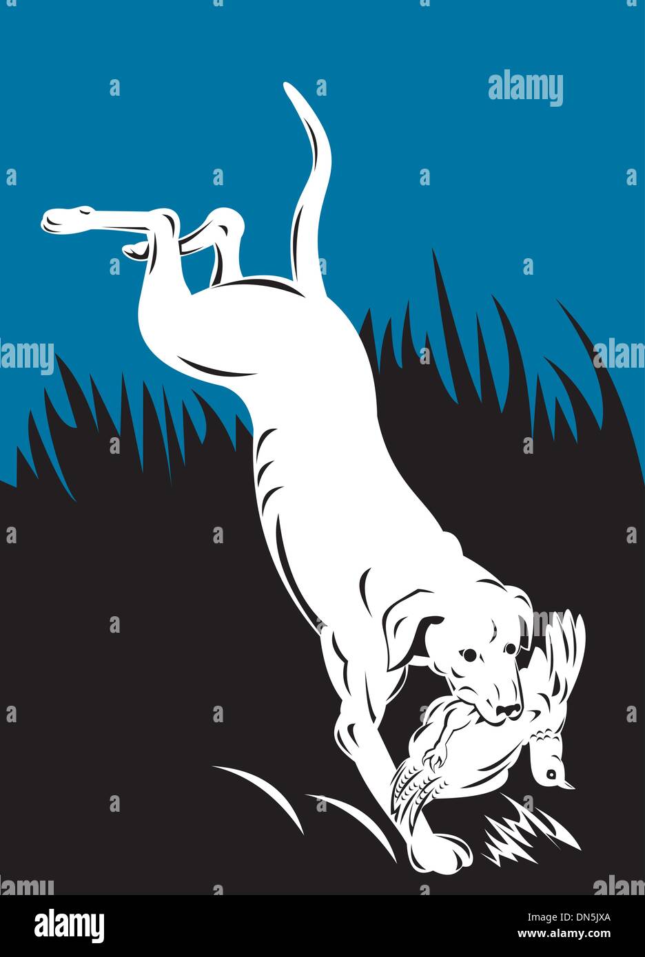 Golden labrador Stock Vector Images - Alamy