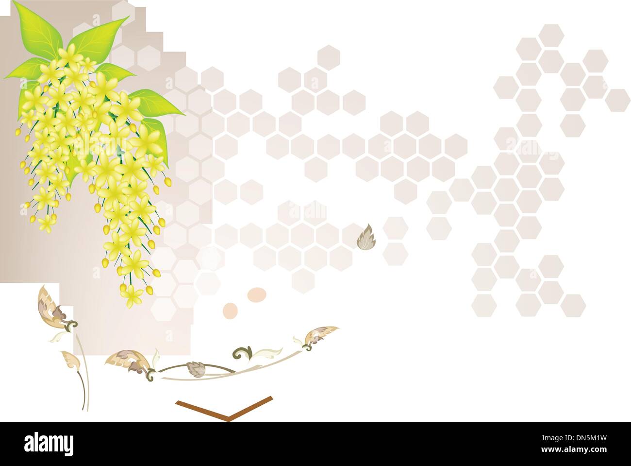 Cassia fistula vector Stock Vector Images - Alamy