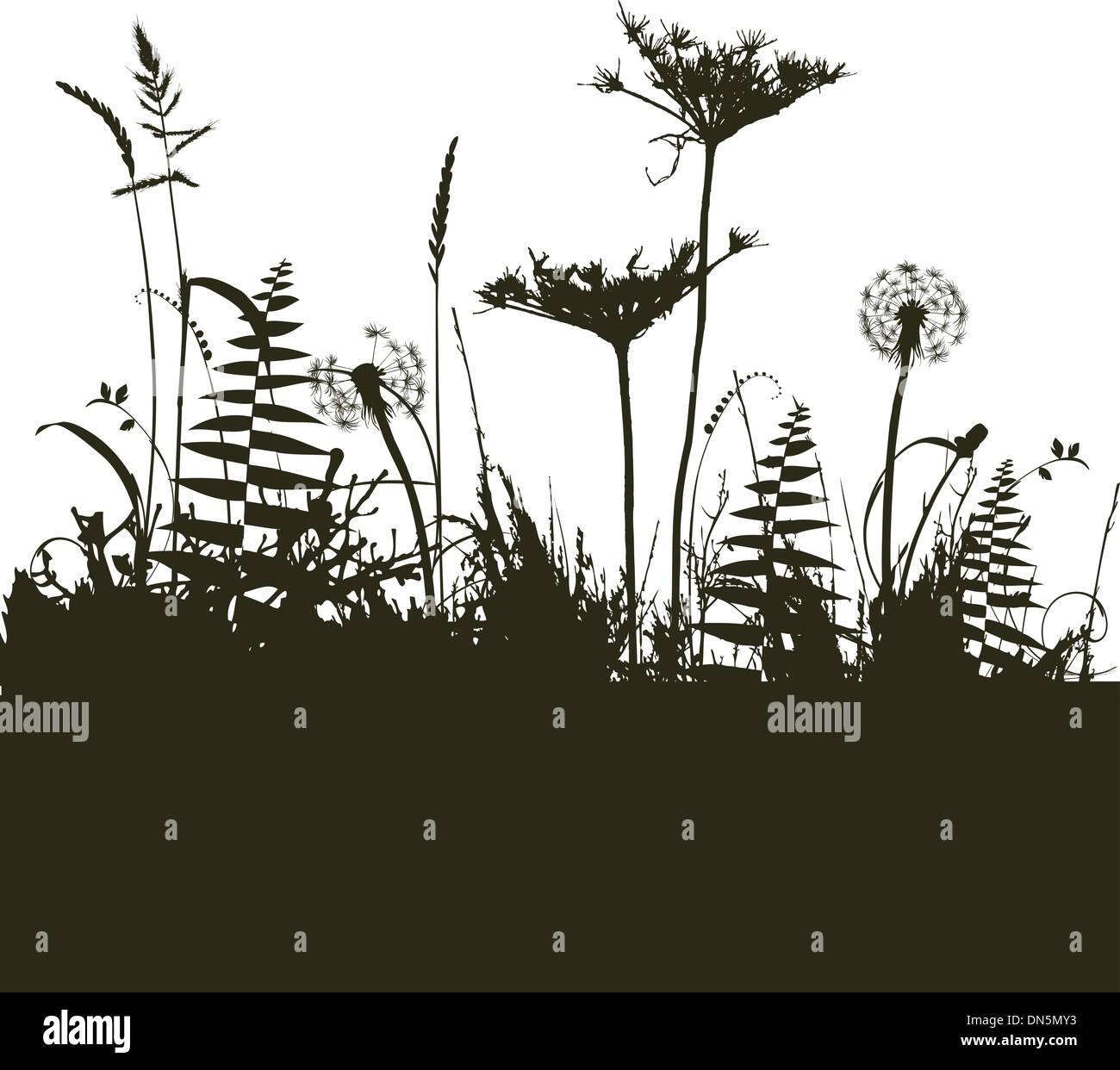 Wildflowers collection Stock Vector Images - Alamy