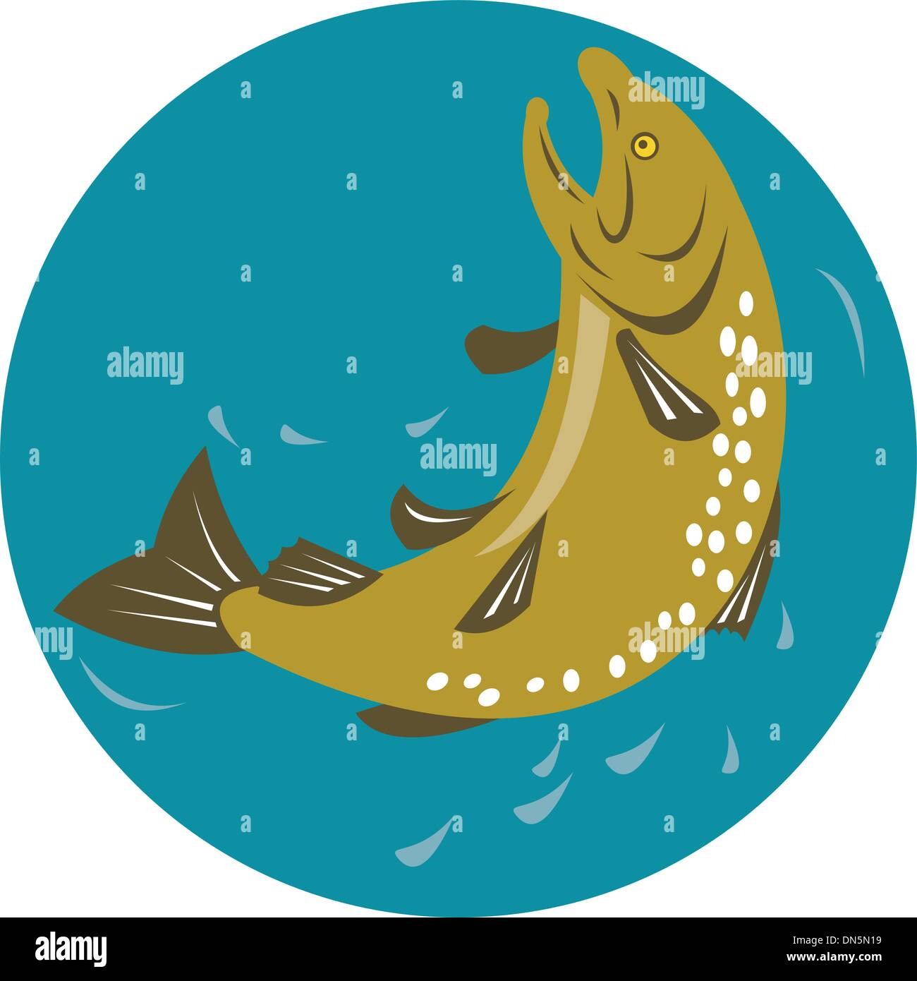 spotted trout fish jumping Stock Vector Image & Art - Alamy