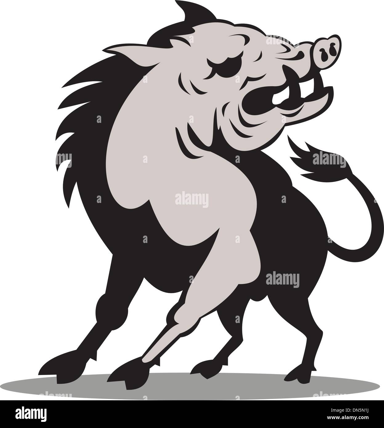 wild pig boar attacking Stock Vector Image & Art - Alamy