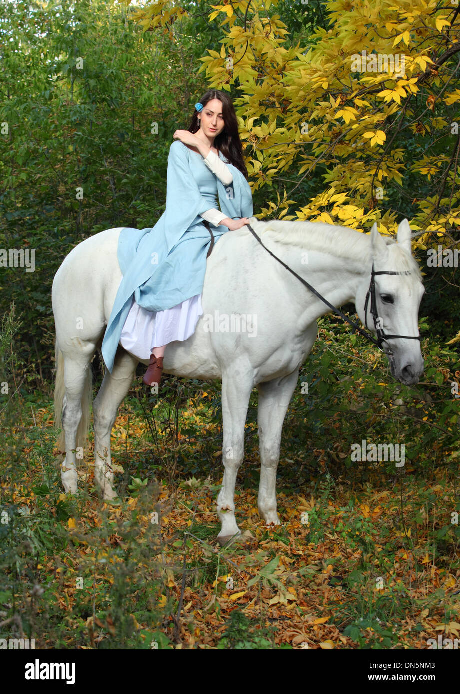 Medieval lady and saddle horse Stock Photo - Alamy