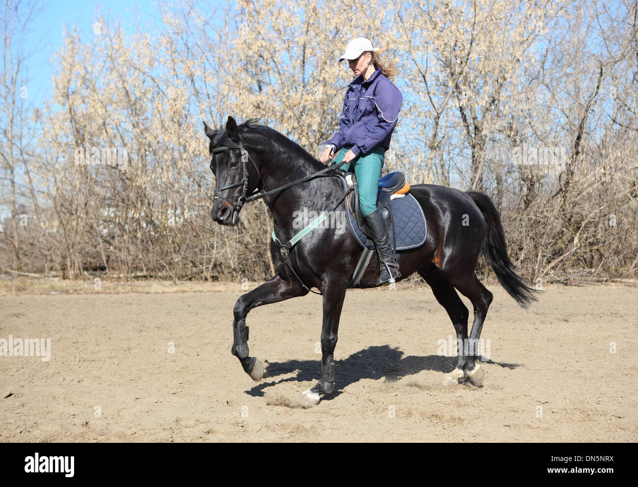 Riding rider dressage canter hi-res stock photography and images - Alamy