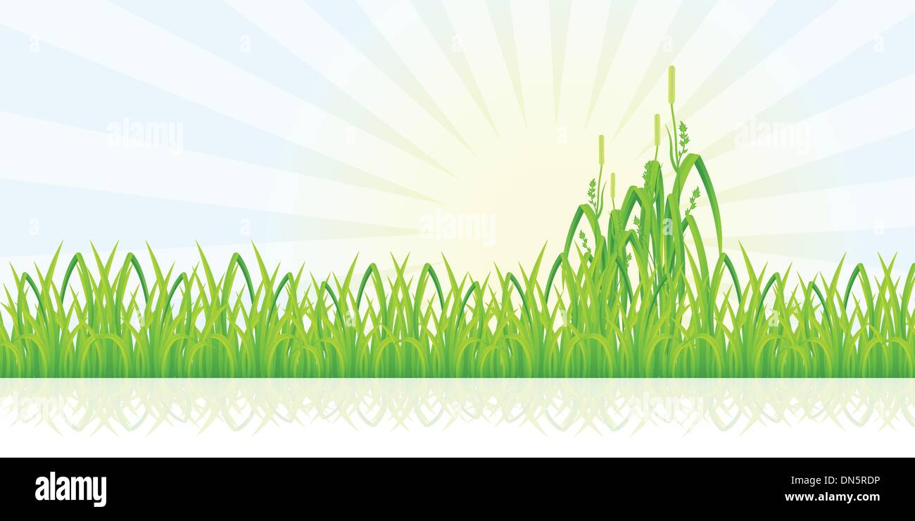 Green outdoors Stock Vector Images - Alamy