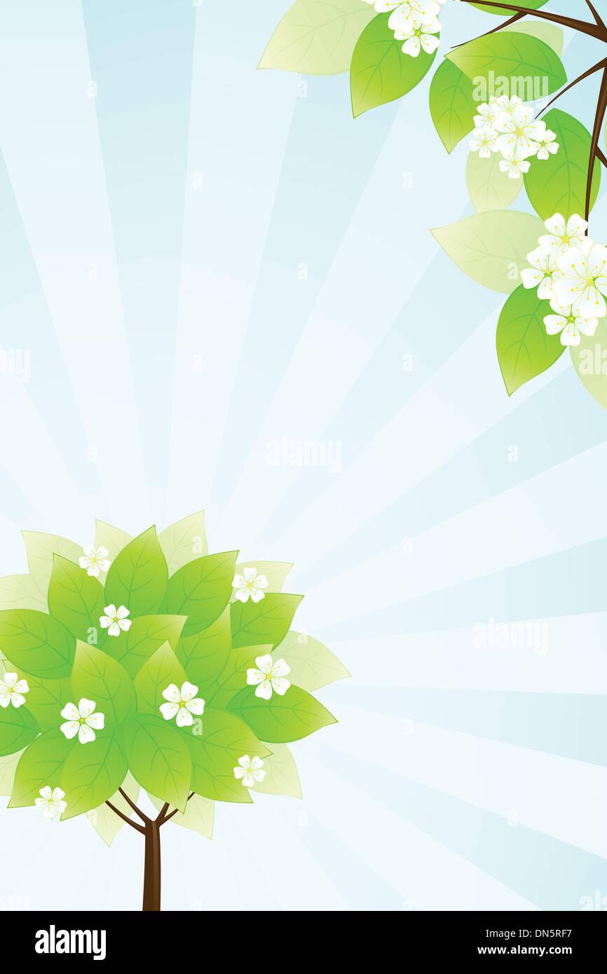 White sun rays Stock Vector Images - Alamy