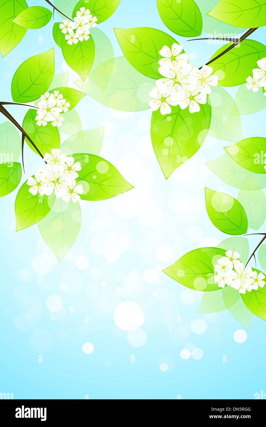 Tree foliage background Stock Vector Images - Alamy