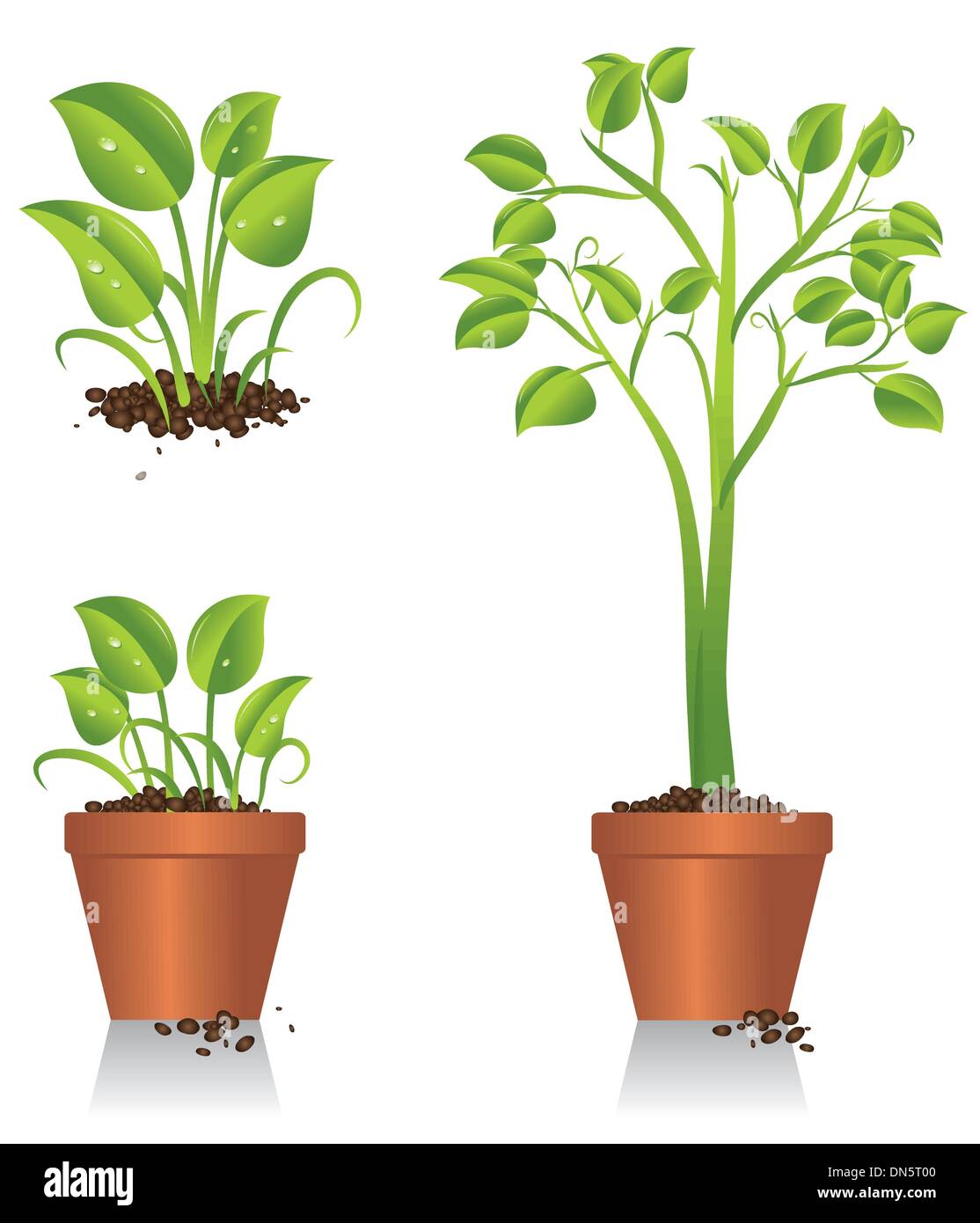 Growing life Stock Vector Images - Alamy