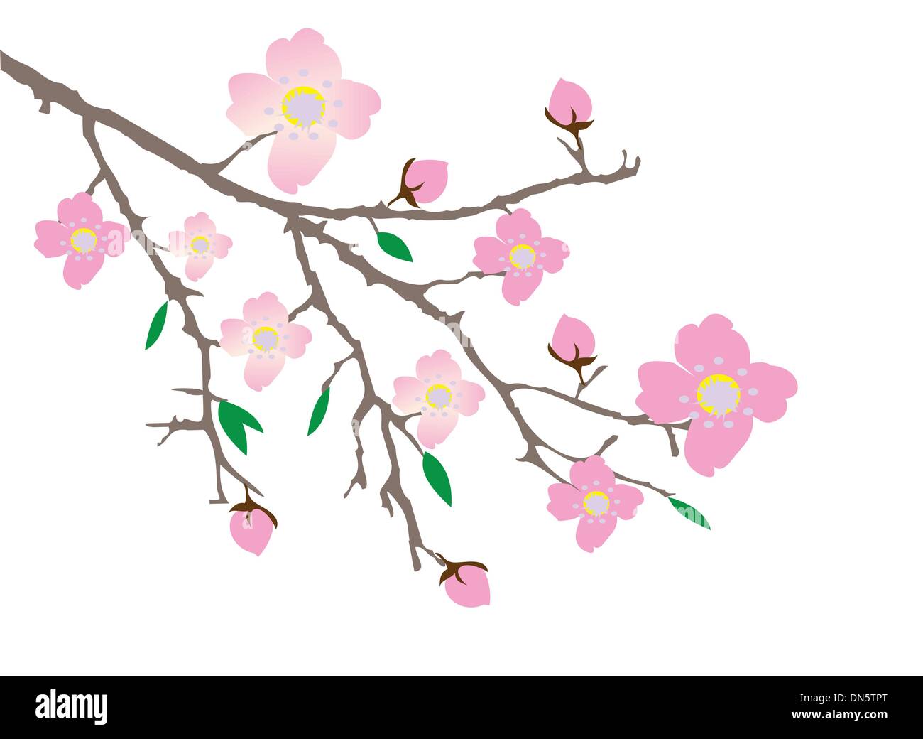 Cherry blossom tree silhouette Cut Out Stock Images & Pictures - Alamy