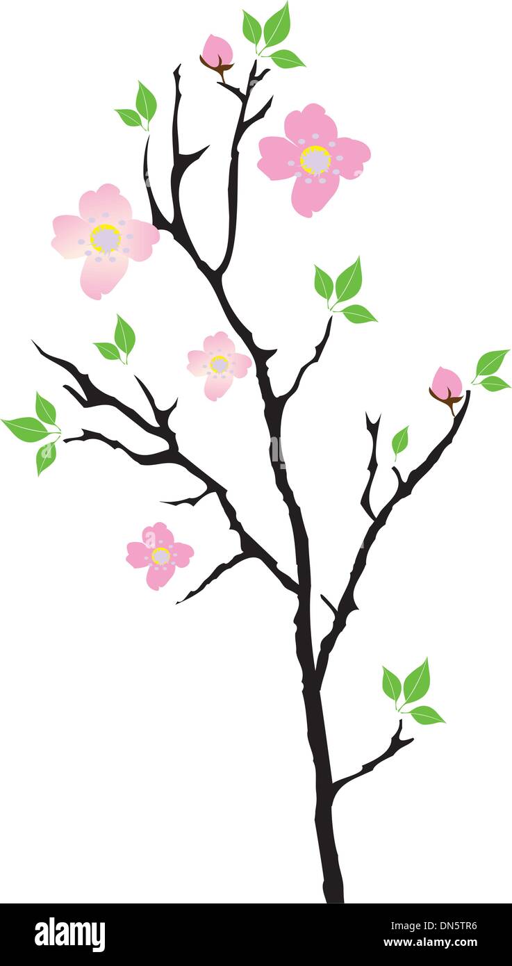 The cherry tree Stock Vector Images - Alamy
