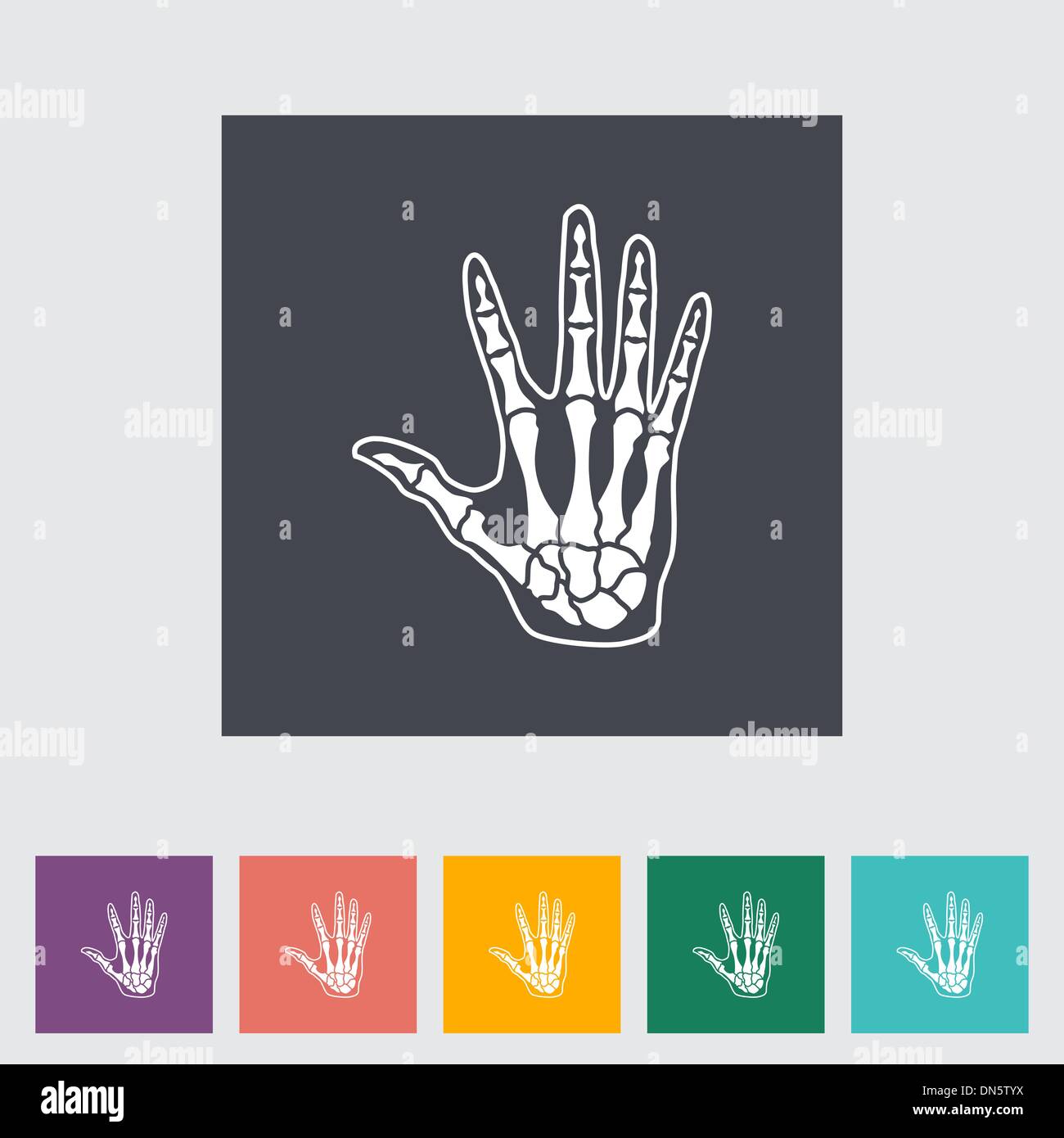 Hand anatomy hi-res stock photography and images - Alamy