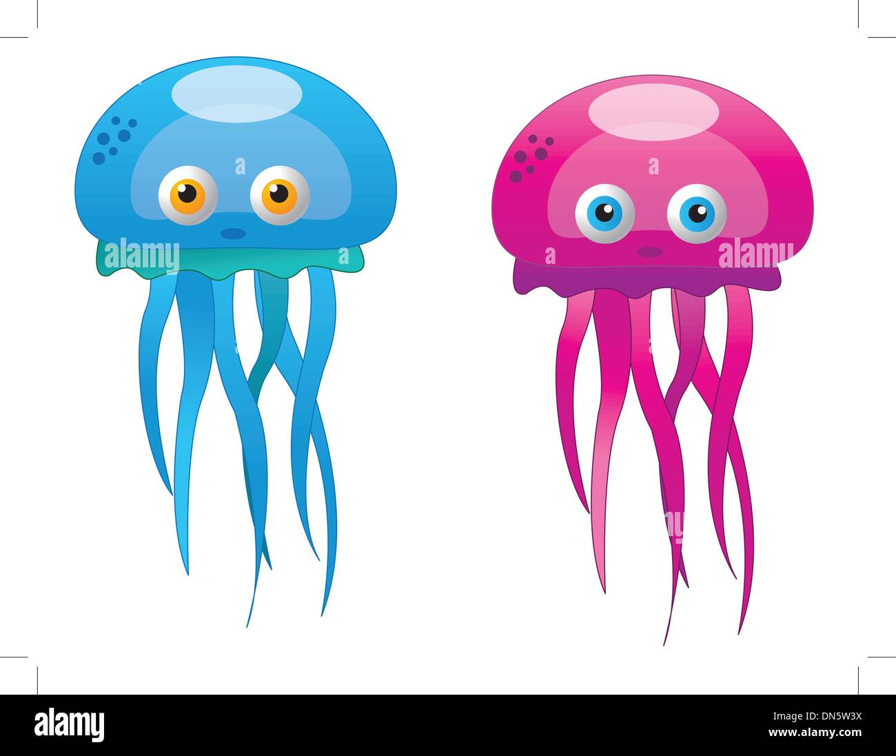 Eight legs octopus hi-res stock photography and images - Alamy