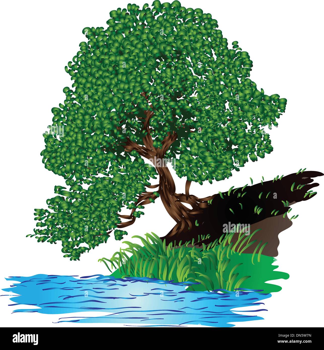 Woodland water image Stock Vector Images - Alamy