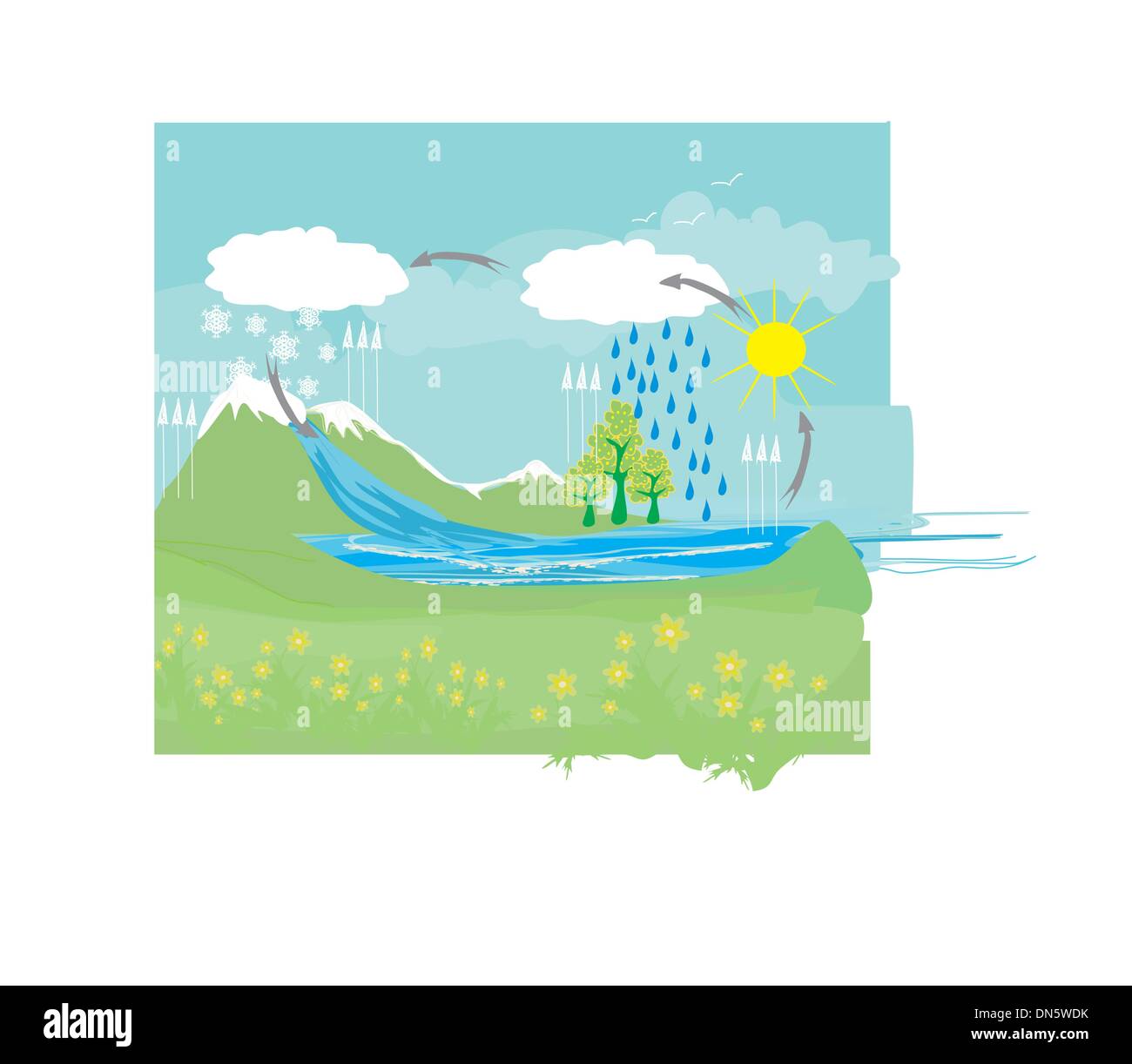 Vector illustration water cycle Cut Out Stock Images & Pictures - Alamy