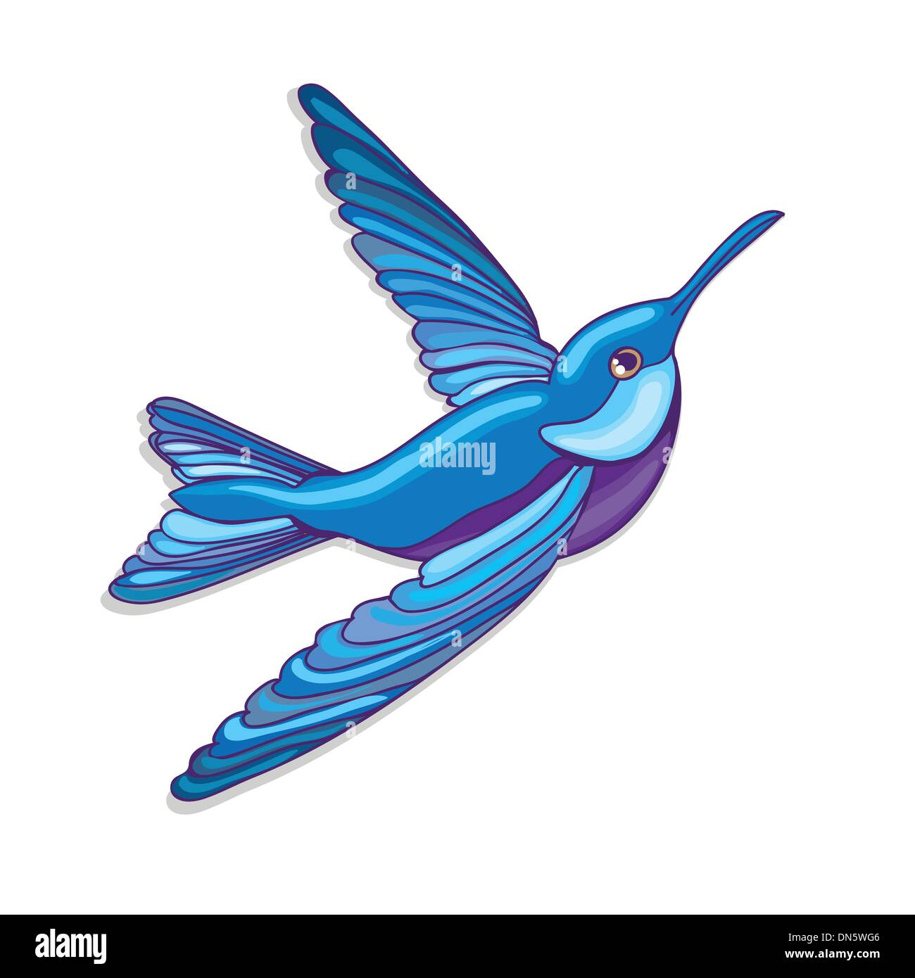 Blue hummingbird, vector illustration Stock Vector Image & Art - Alamy