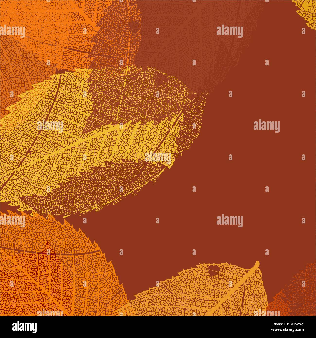 Leaves template hi-res stock photography and images - Alamy