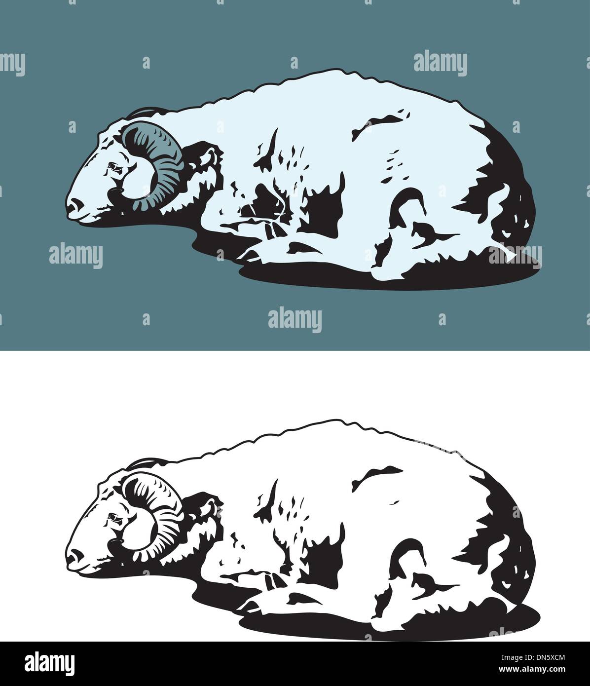 Ram and ewe sheep Stock Vector Images - Alamy