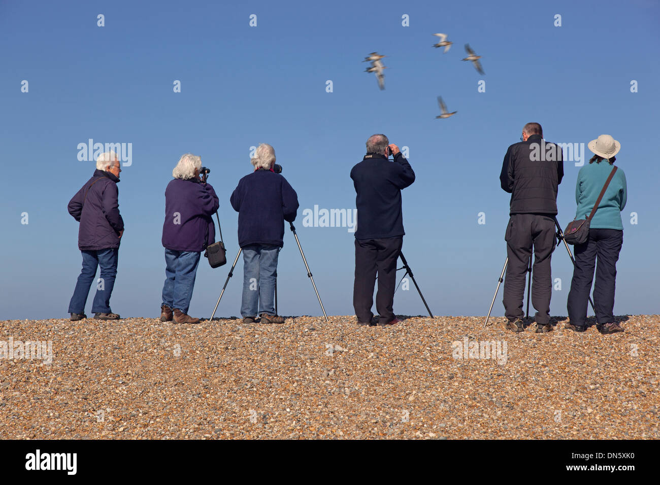 group of Bird-watching enthusiasts at Cley Nature Reserve Norfolk Stock ...