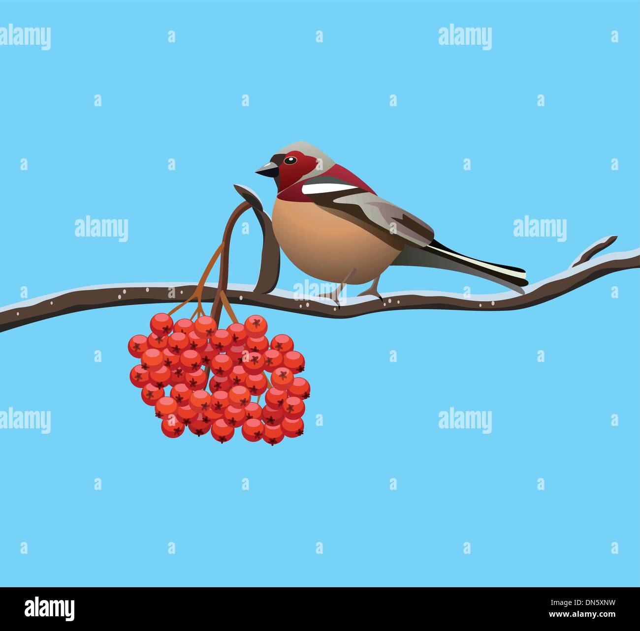 Rowan illustration hi-res stock photography and images - Alamy