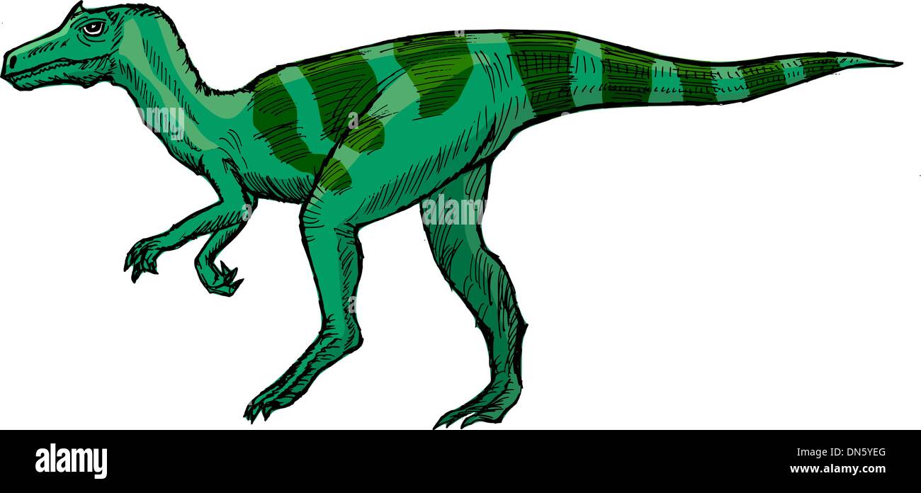 Allosaurus vector vectors hi-res stock photography and images - Alamy