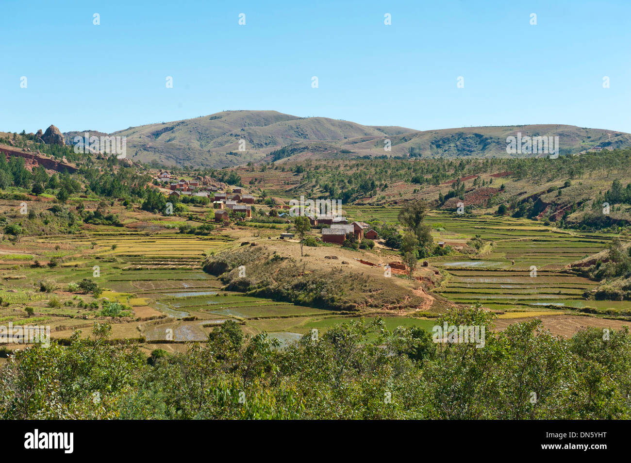 Madagascar rice terrace hi-res stock photography and images - Alamy