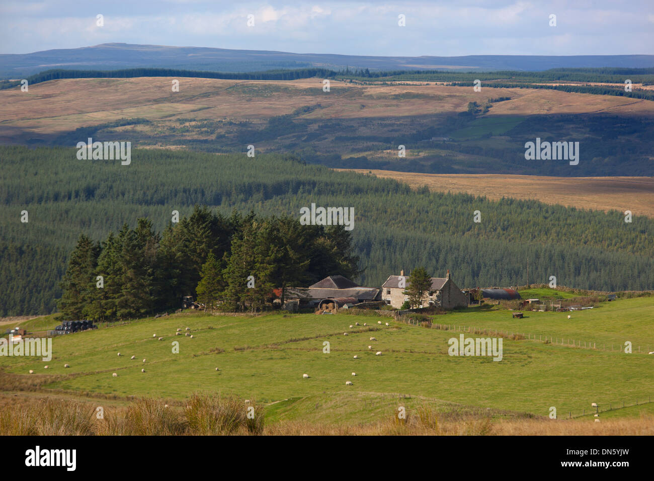 Wark farm hi-res stock photography and images - Alamy
