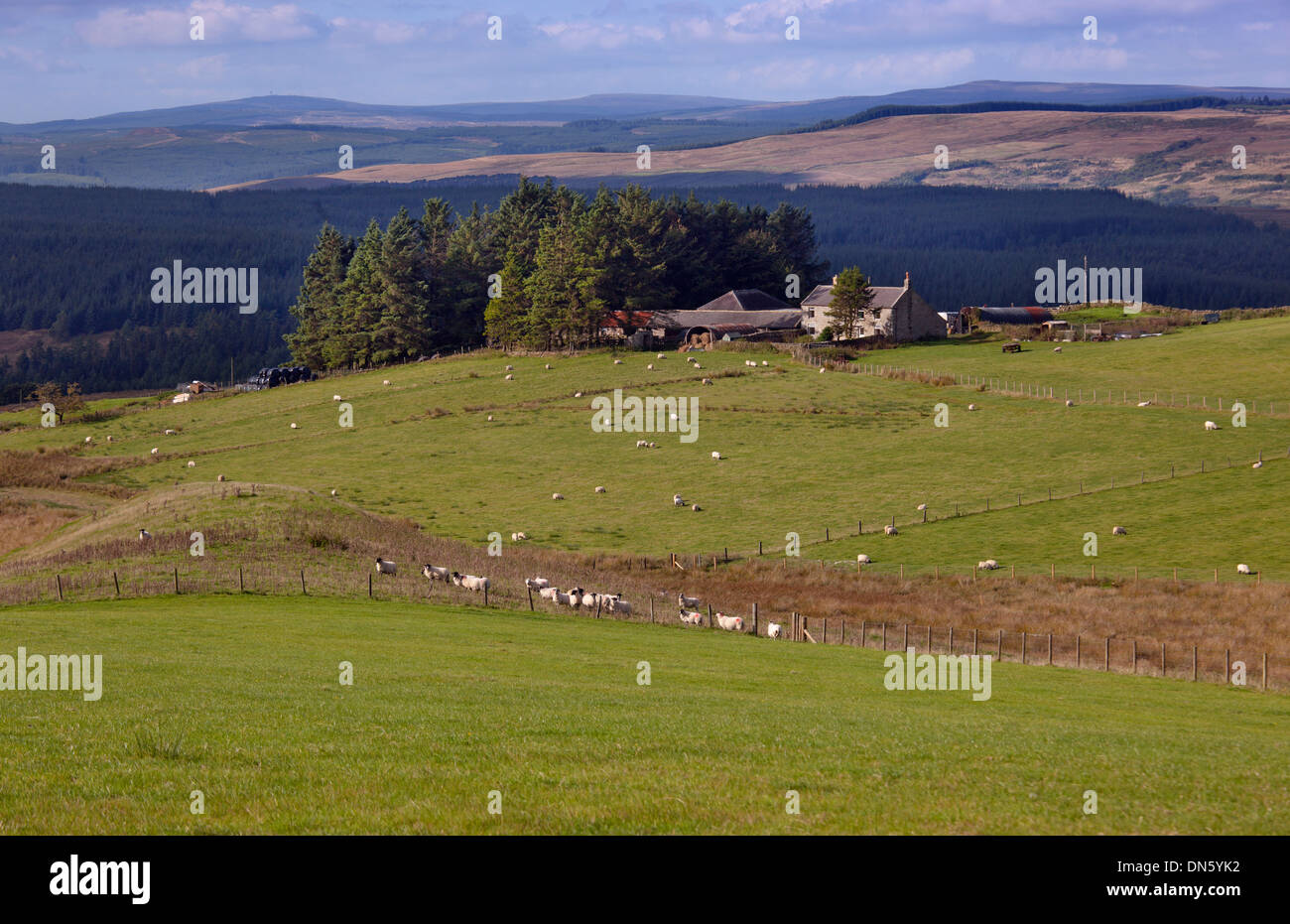 Wark northumberland hi-res stock photography and images - Alamy