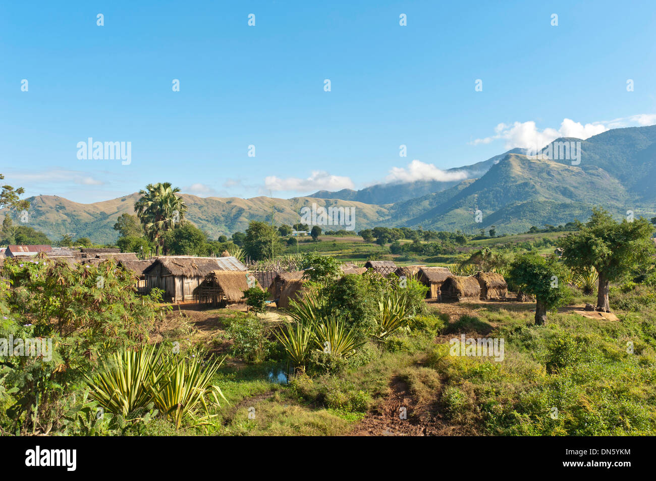 Antandroy hi-res stock photography and images - Alamy