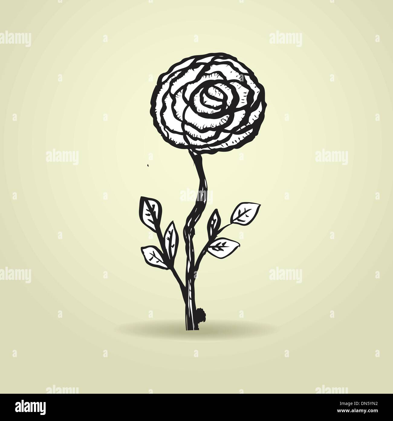 Hand drawn ink rose flower on grunge beige background Stock Vector ...