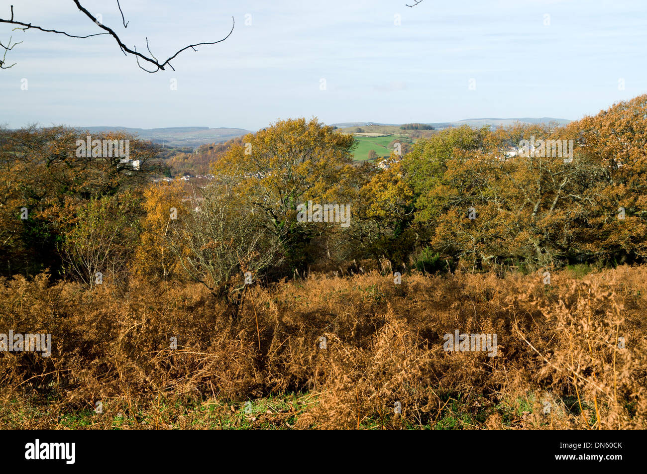 Rhymney Valley Ridgway Footpath, above Ystrad Mynach, Gwent, South ...