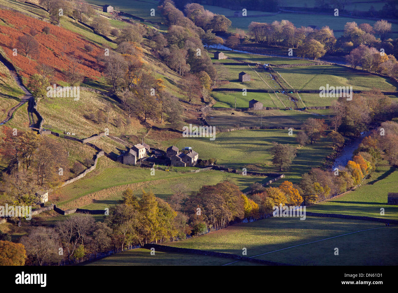 Swaledale near Muker Village in the Yorkshire Dales National Park in ...