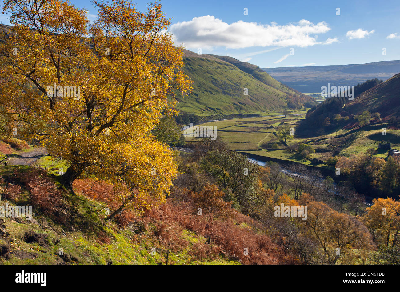 Swaledale near Muker Village in the Yorkshire Dales National Park in ...