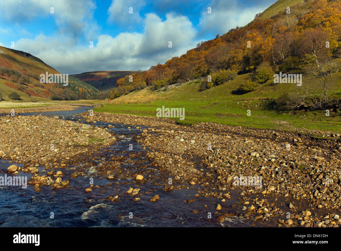 Swaledale near Muker Village in the Yorkshire Dales National Park in ...