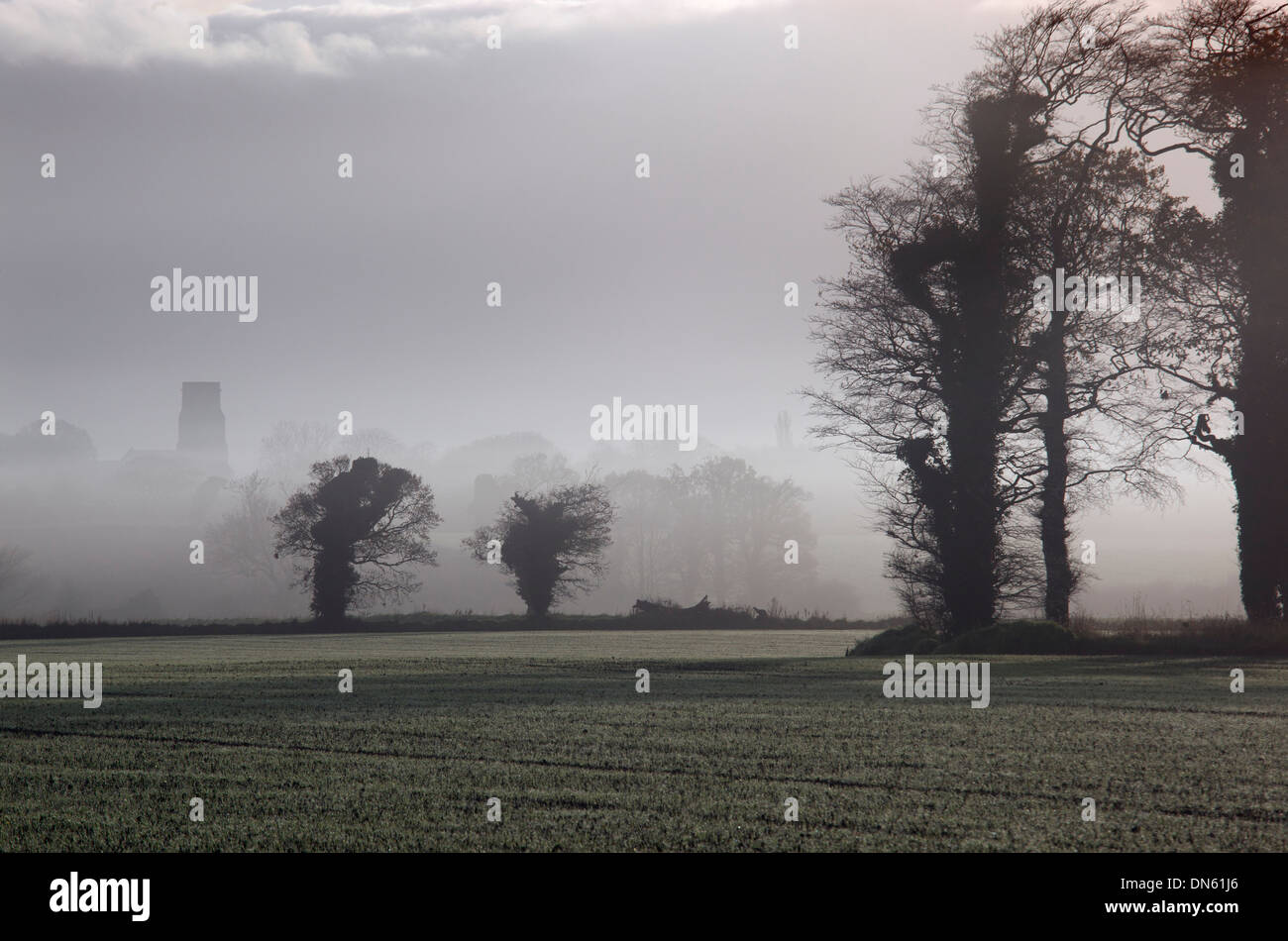 Trunch hi-res stock photography and images - Alamy