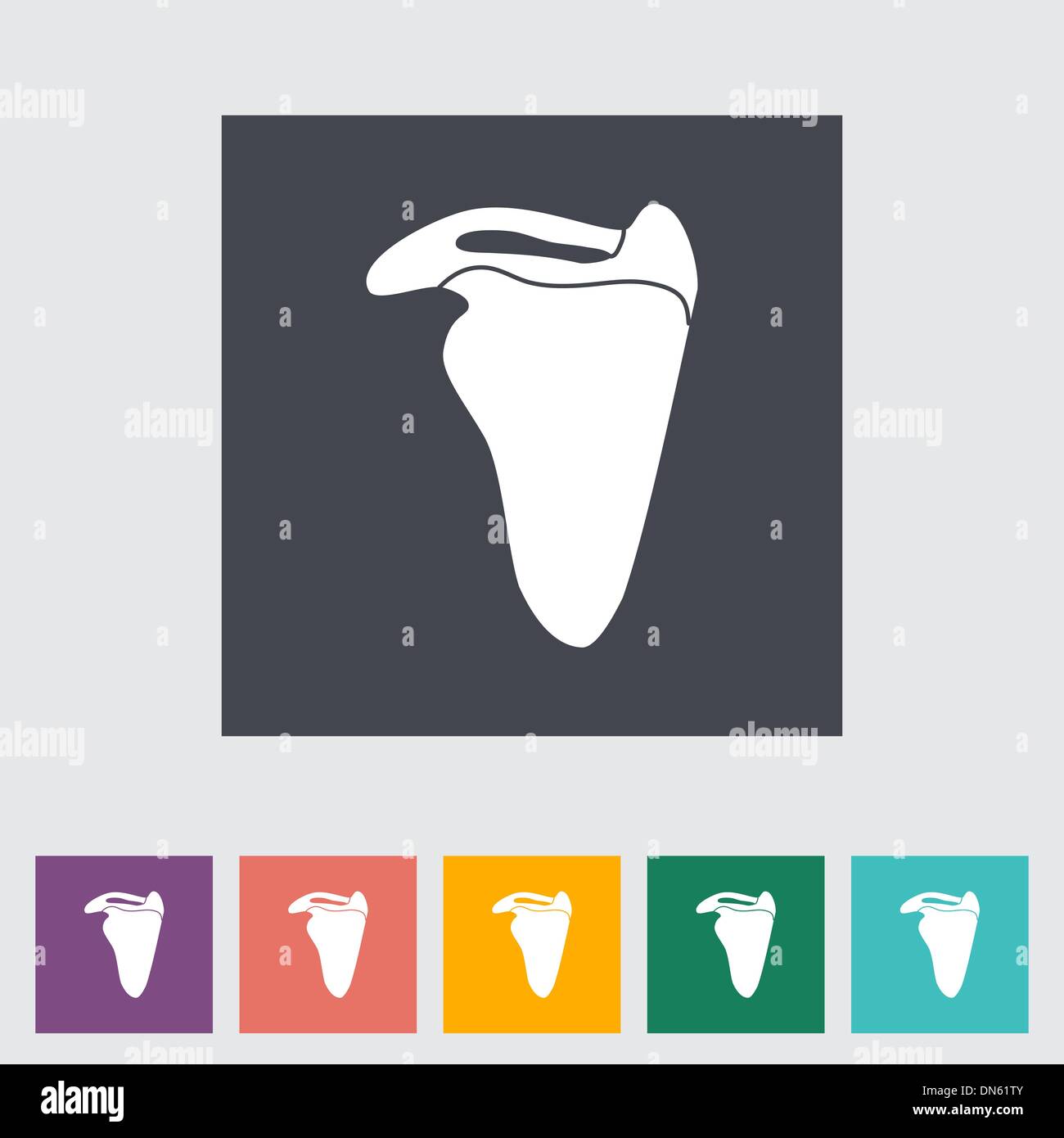 Scapula anatomy hi-res stock photography and images - Alamy