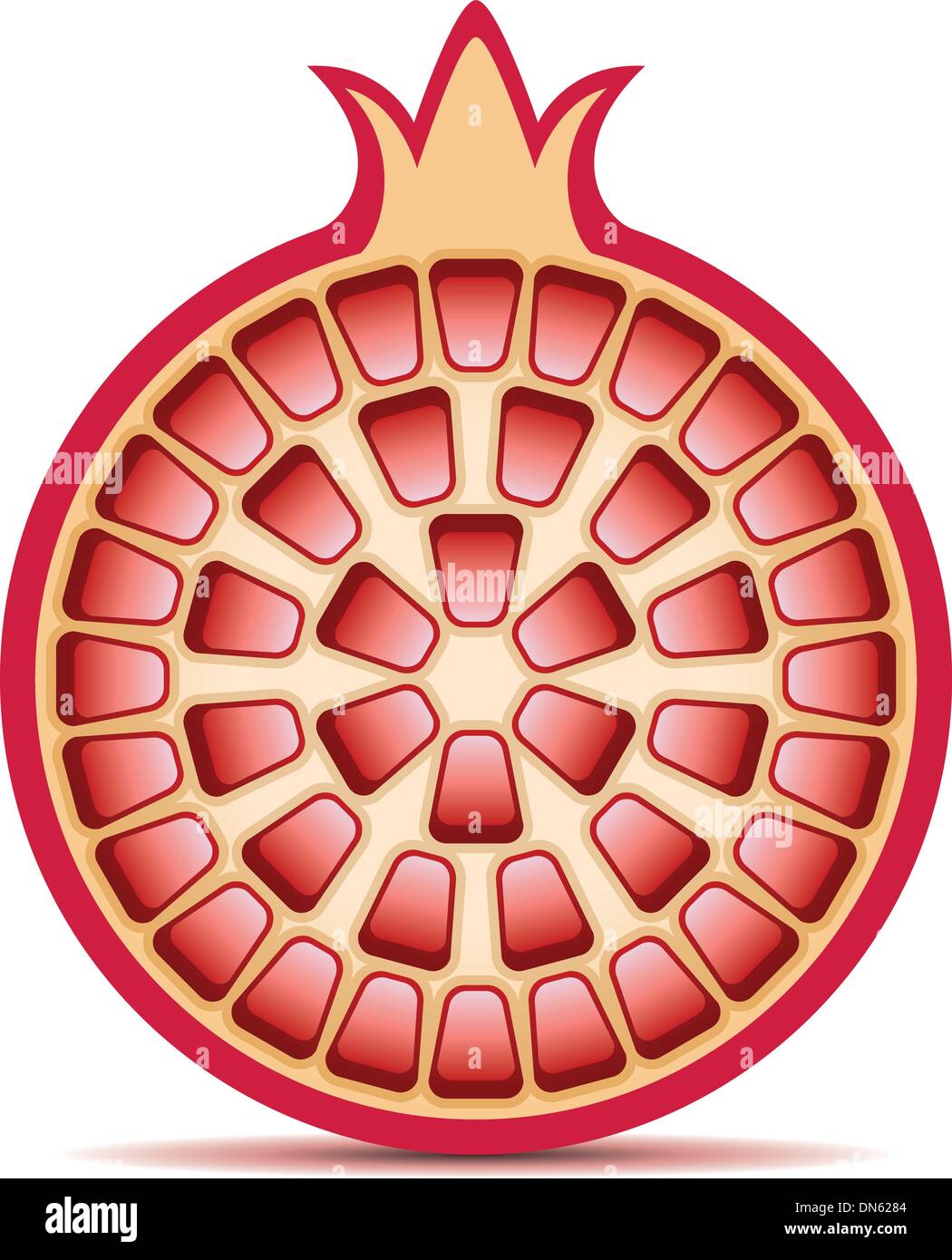Pomegranate vector vectors hi-res stock photography and images - Alamy