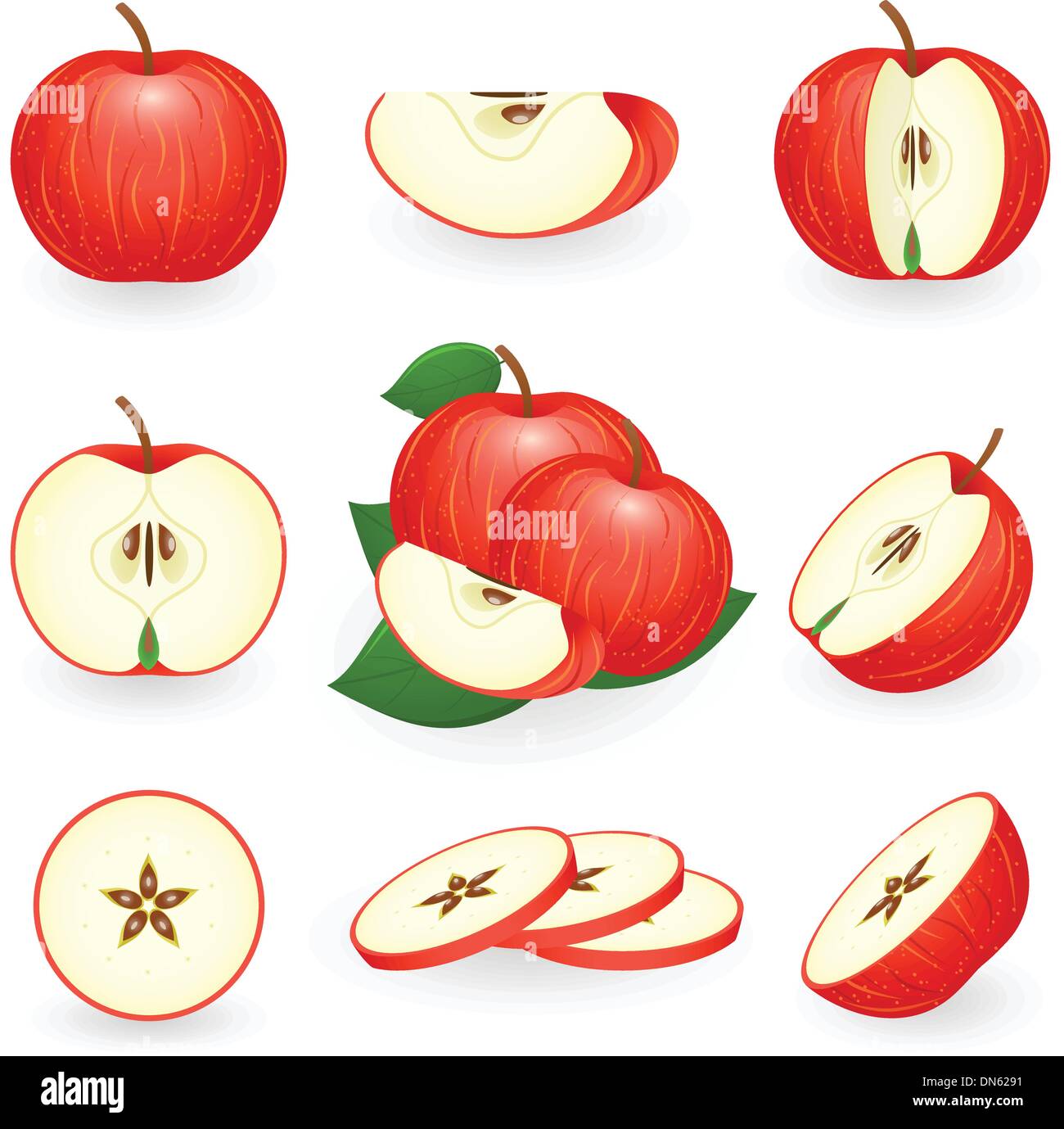 Half red apple collection Stock Vector Images - Alamy