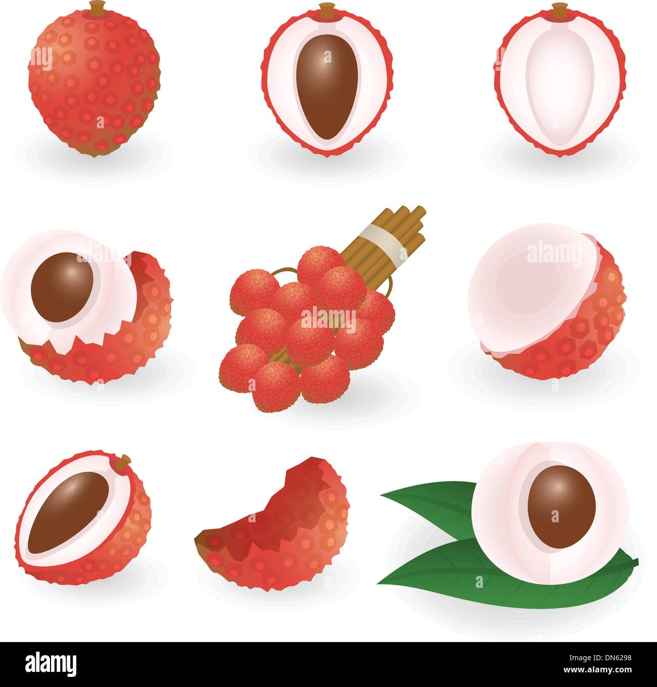 Lychee bunch Stock Vector Images - Alamy