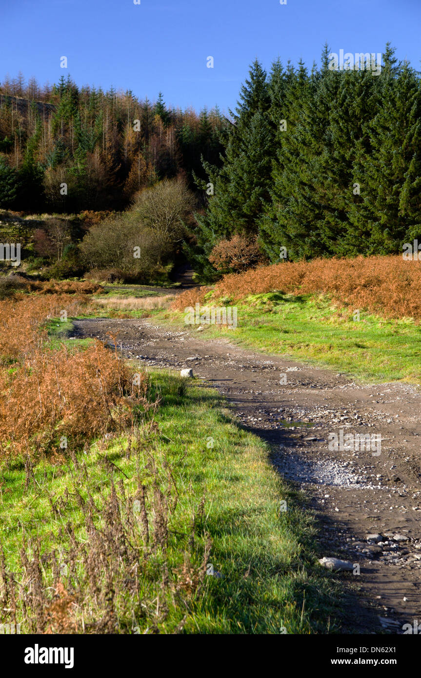 Rhymney Valley Ridgeway Footpath above the Sirhowy Valley, South Wales ...
