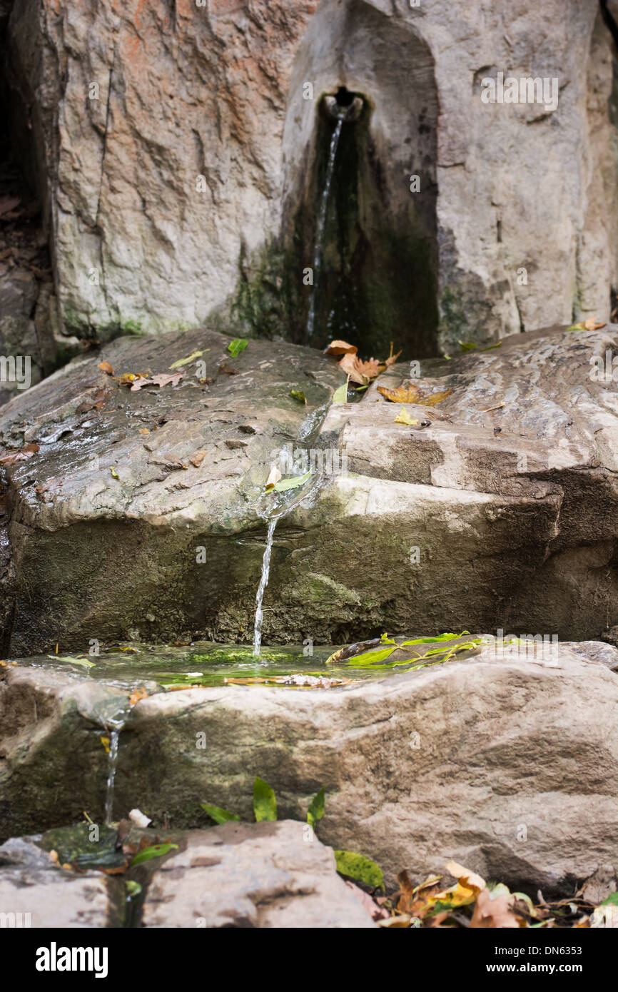 Natural source of drinking water Stock Photo - Alamy