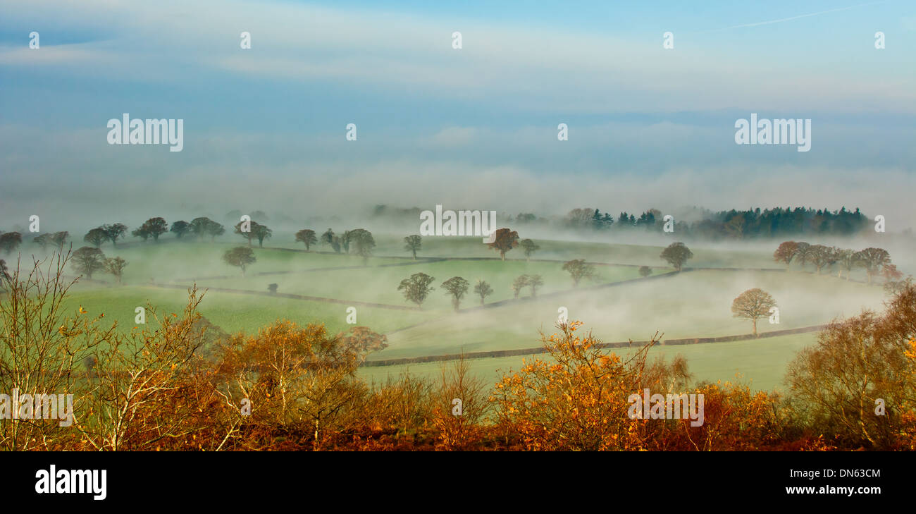 Misty morning in rural shropshire Stock Photo - Alamy