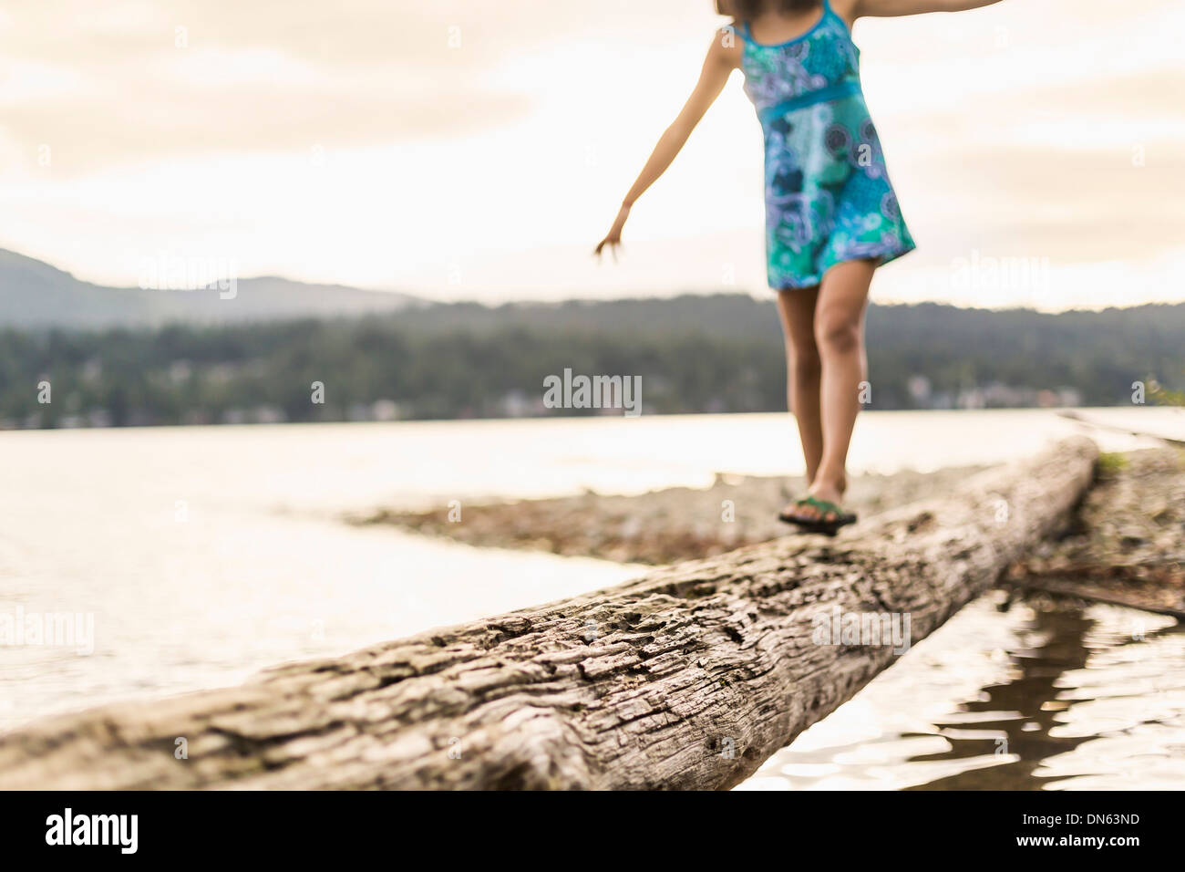 Horizontal Log High Resolution Stock Photography and Images - Alamy