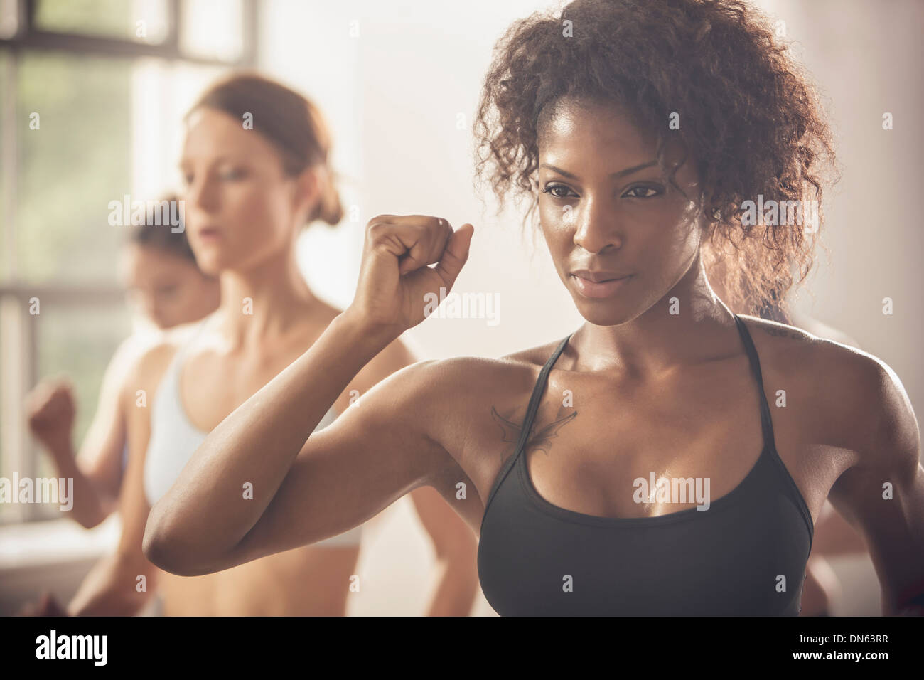 Women working out in exercise class Stock Photo - Alamy