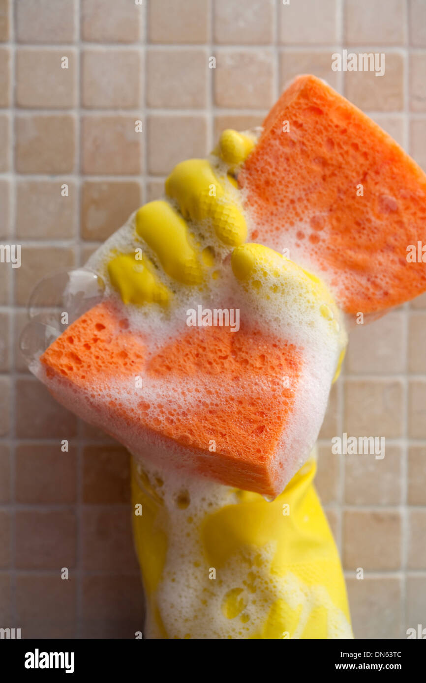 Rubber glove holding sudsy sponge in bathroom Stock Photo - Alamy