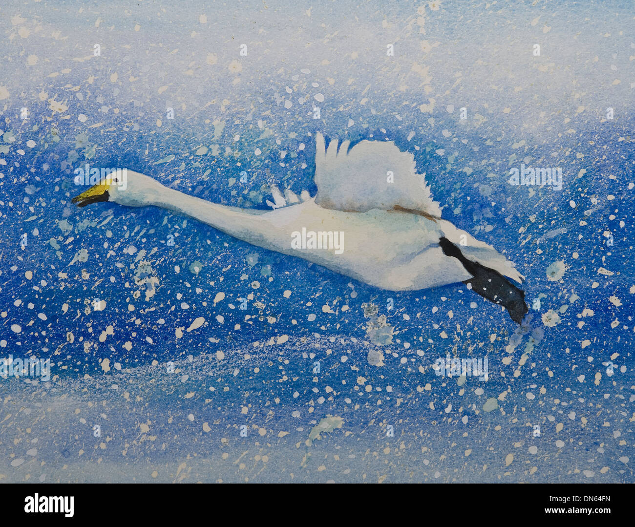 White goose flying through snowfall Stock Photo - Alamy