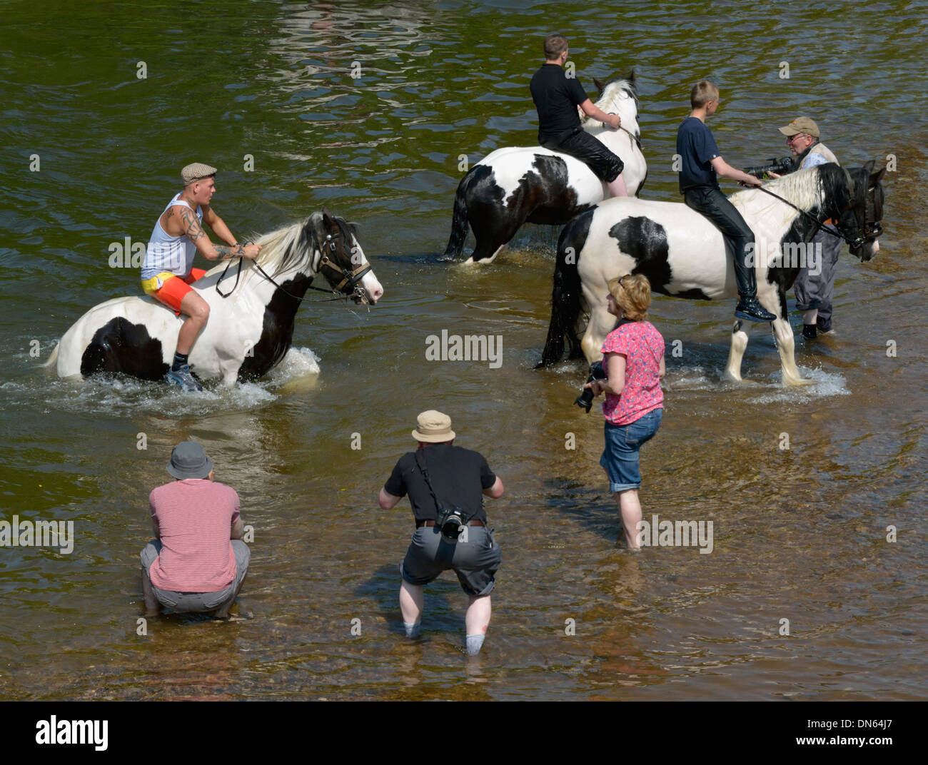 Gypsy travellers with horses and photographers in River Eden. Appleby ...