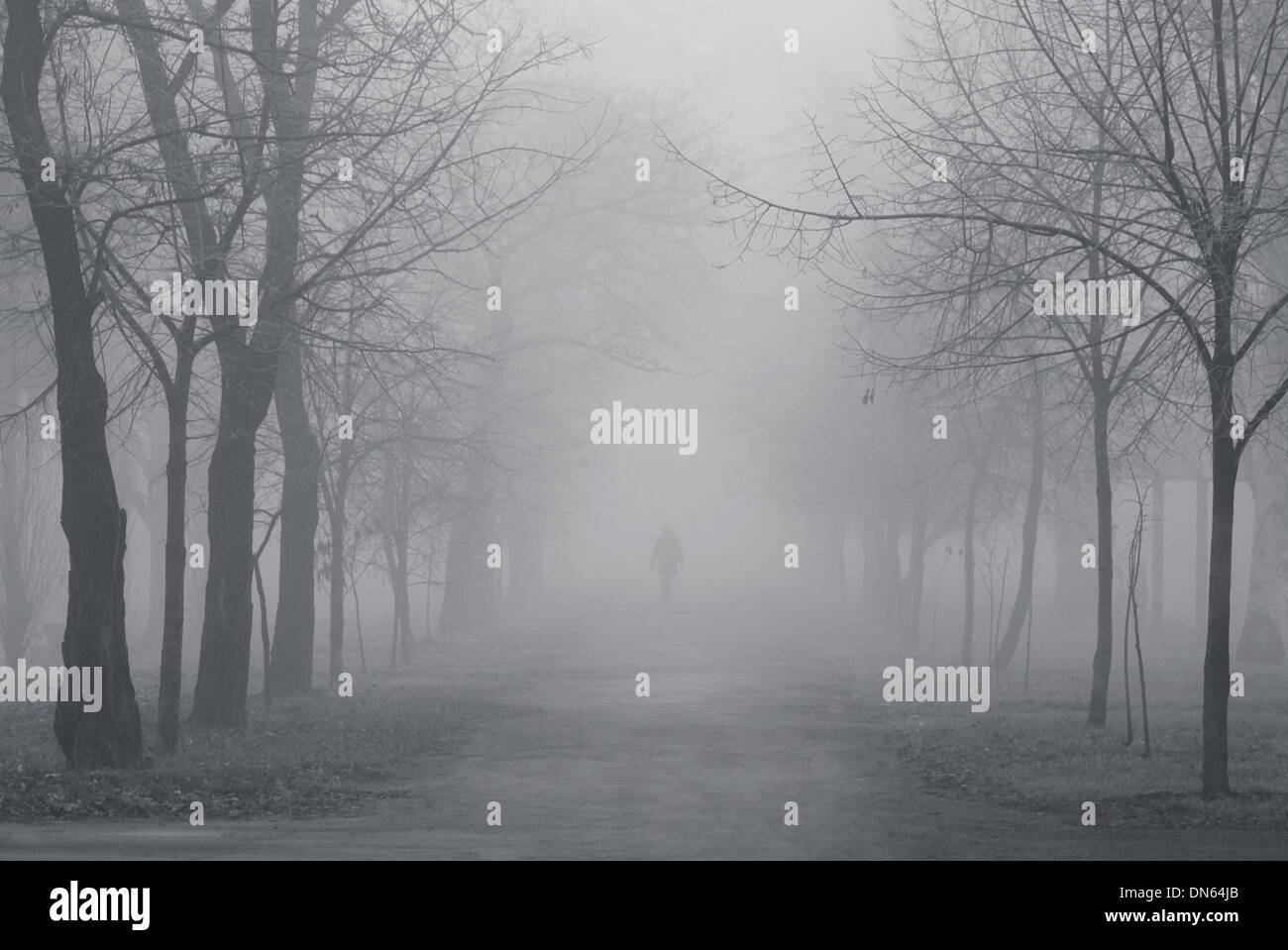 path in a foggy park Stock Photo - Alamy