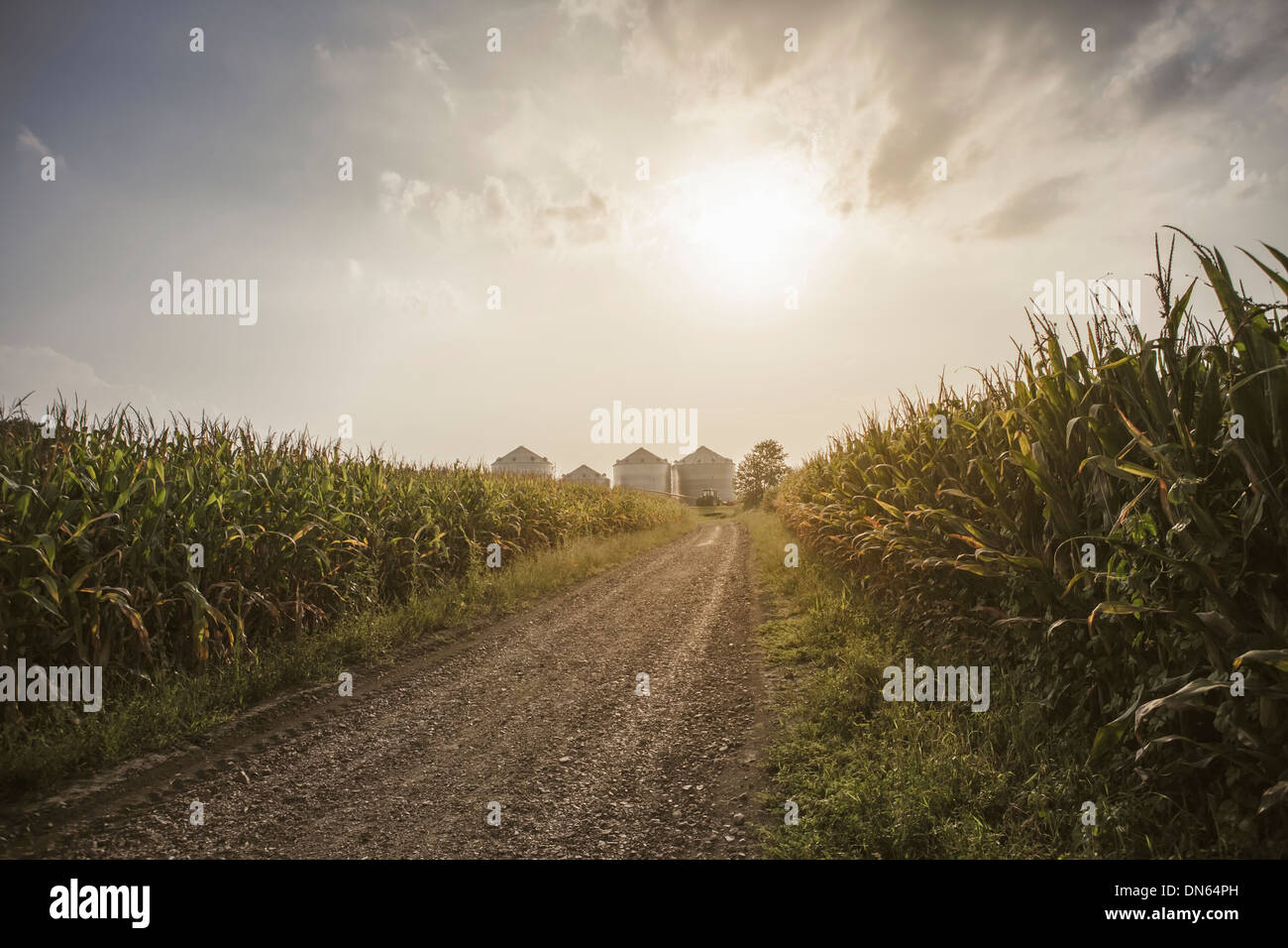 Dirt road in rural landscape Stock Photo - Alamy