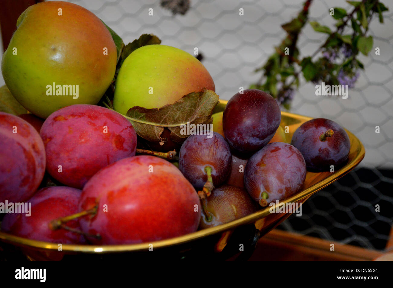 A Display of Mixed Fruit (Apples and Plums) in a Golden Bowl at the ...