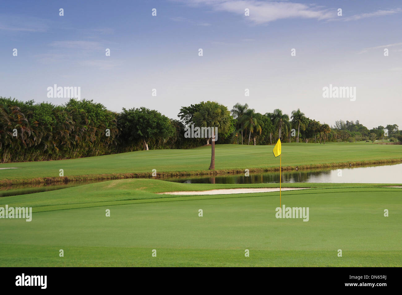 Still pond or pool hi-res stock photography and images - Alamy