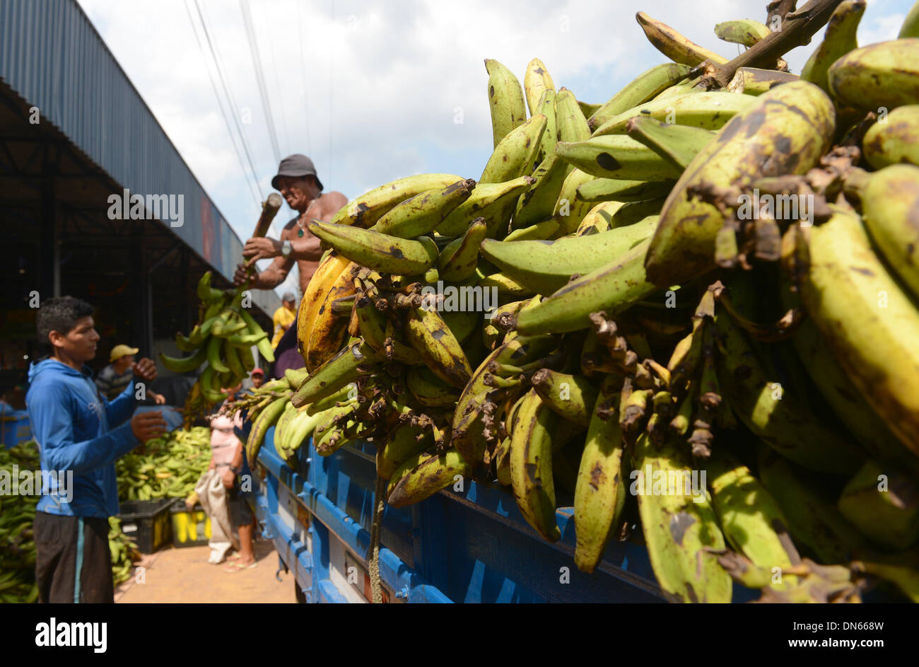 Men store cooking bananas at the banana market in Manaus, Brazil, 11 ...